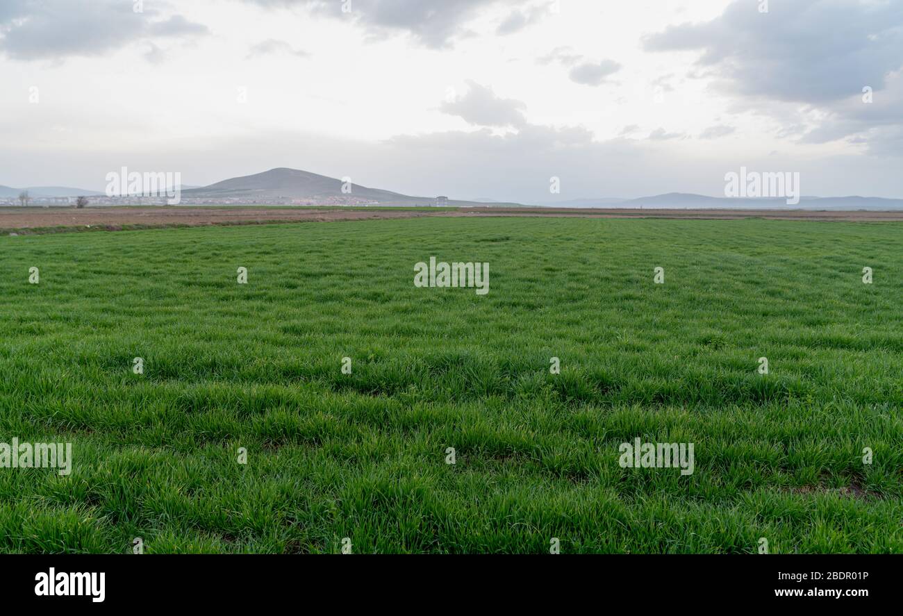 Emirdag hi-res stock photography and images - Alamy