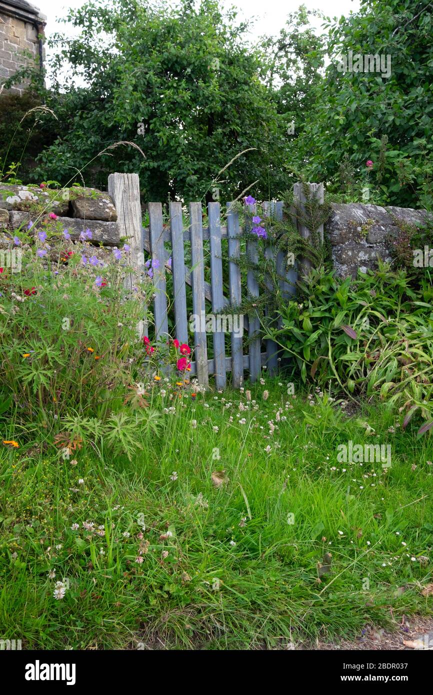 Old weathered mauve wooden garden gate Stock Photo - Alamy
