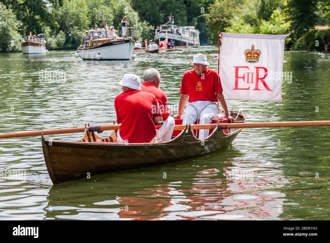 Royal swan hi-res stock photography and images - Alamy