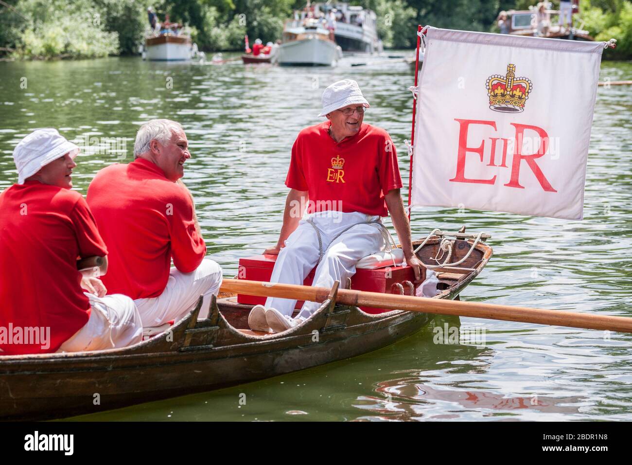 Royal swan hi-res stock photography and images - Alamy
