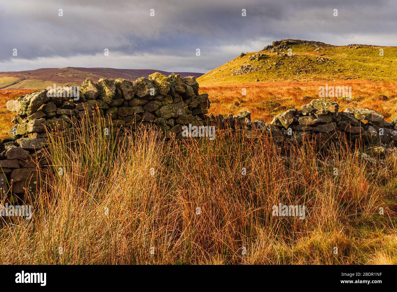 Stone wall and rushes below Bowland Knotts in the Forest of Bowland ...