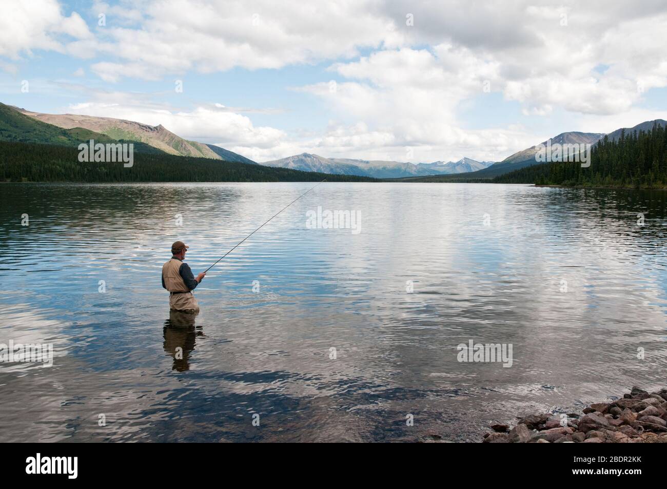 Spatsizi plateau wilderness park hi-res stock photography and images ...