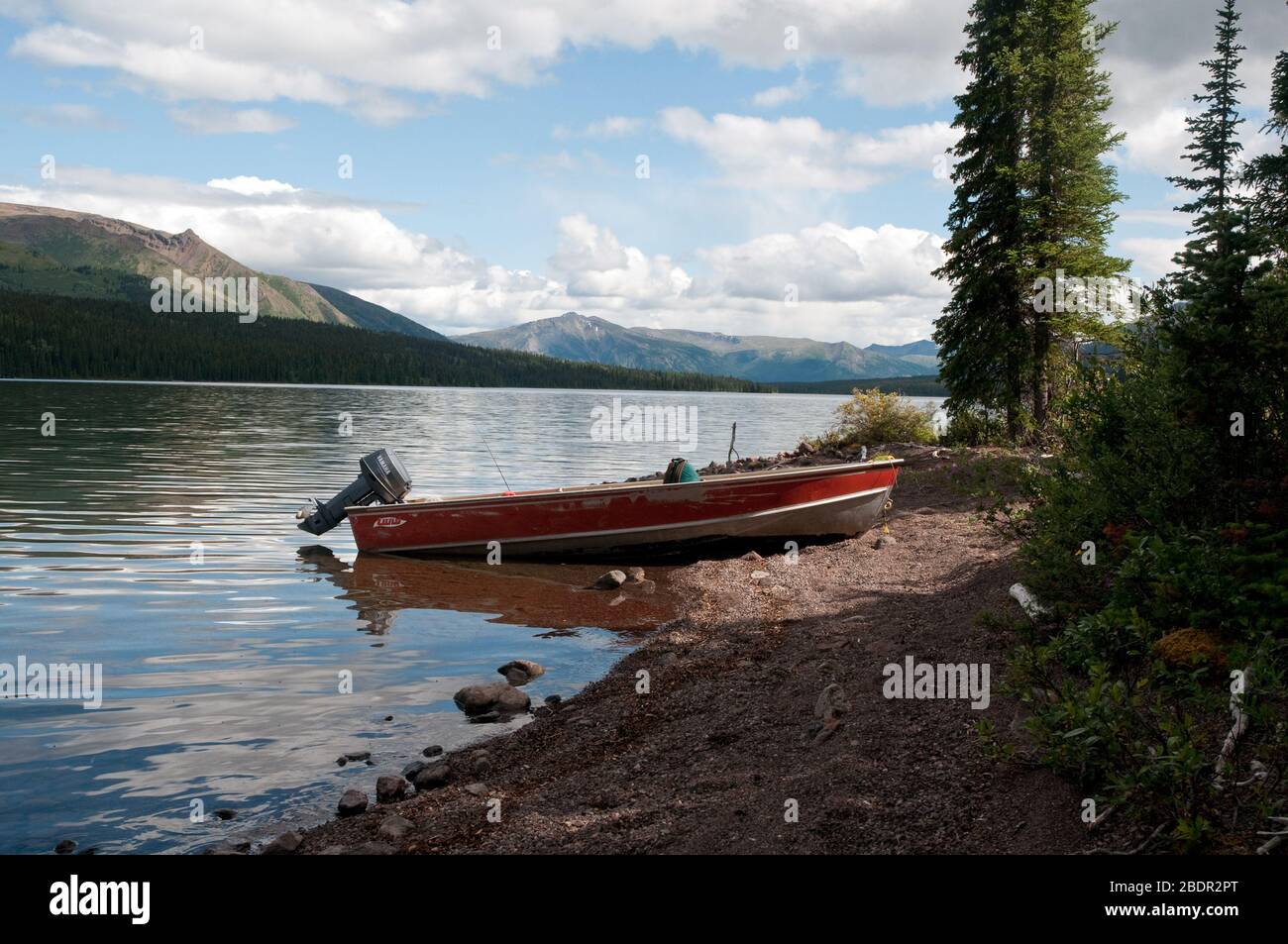 Cold fish hi-res stock photography and images - Alamy