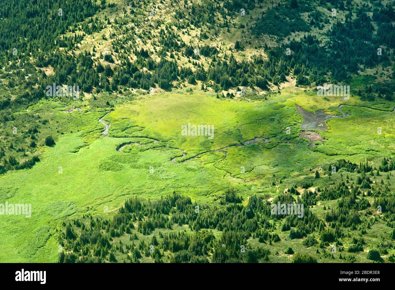 Aerial view of a boreal wetland in The Sacred Headwaters where the ...