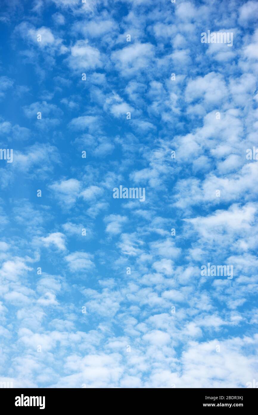 Vertical Cloud Background Blue Sky Background And Fluffy White Large