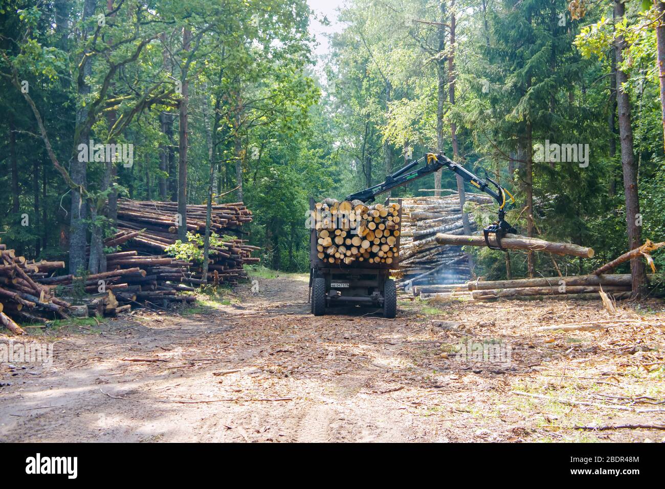 manipulator loader logs, short log truck, timber truck, loading logs in ...