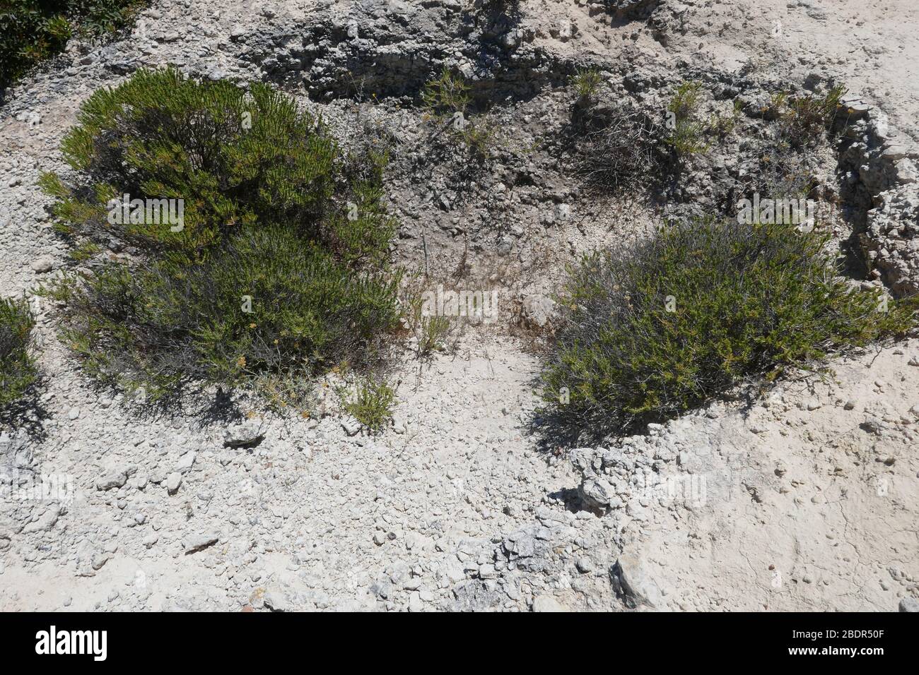 Salamis greece ajax hi-res stock photography and images - Alamy