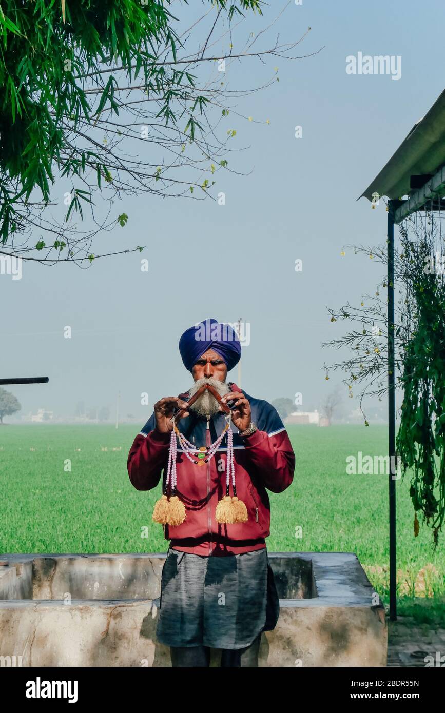 Old Indian man playing local music with Indian flute in the green field ...