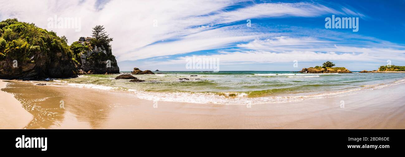Dunedin panorama hi-res stock photography and images - Alamy