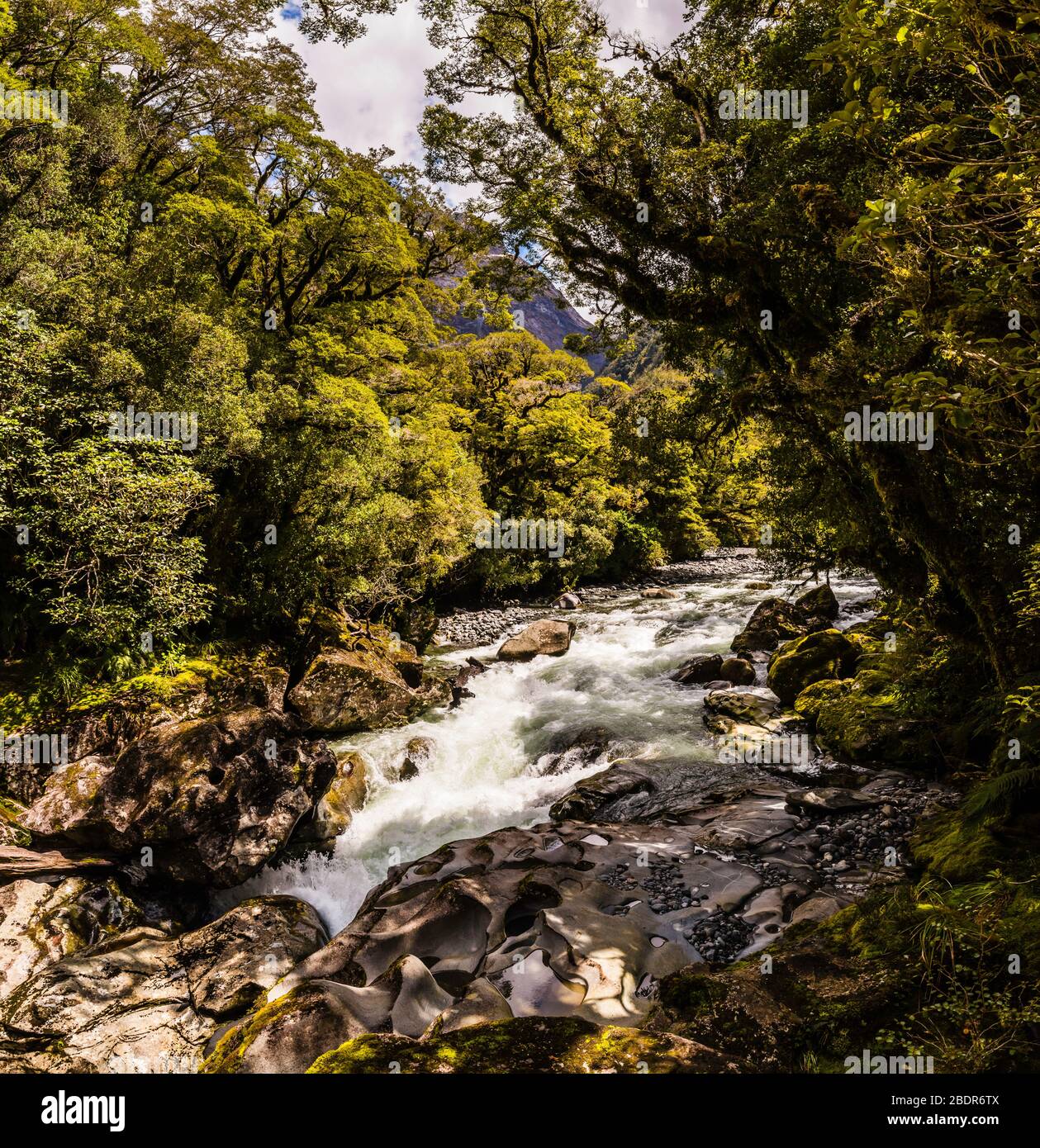 Waterfall at The Chasm, Cleddau River, Southland, New Zealand Stock ...