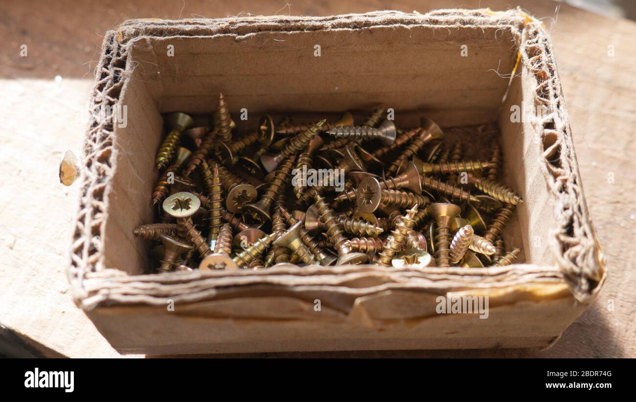 Small screws in a cardboard box Stock Photo - Alamy