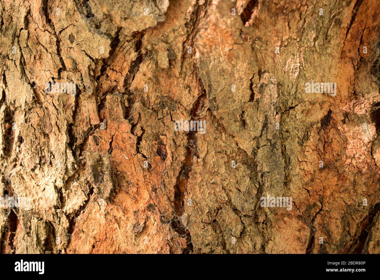 Rugged shapes hi-res stock photography and images - Alamy