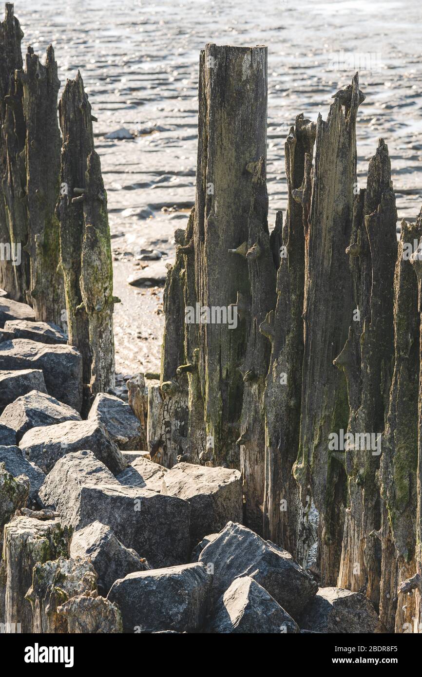 Old wave beaten pylons which were once a pier now become a beautiful ...