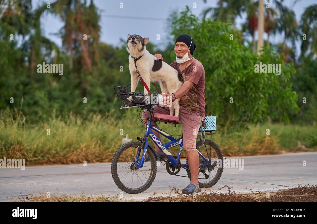 A man transports his big dog on his bicycle Stock Photo - Alamy