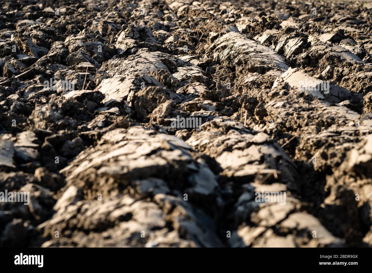Big chunks of clay dirt from a plowed field lit by the sunlight on an ...