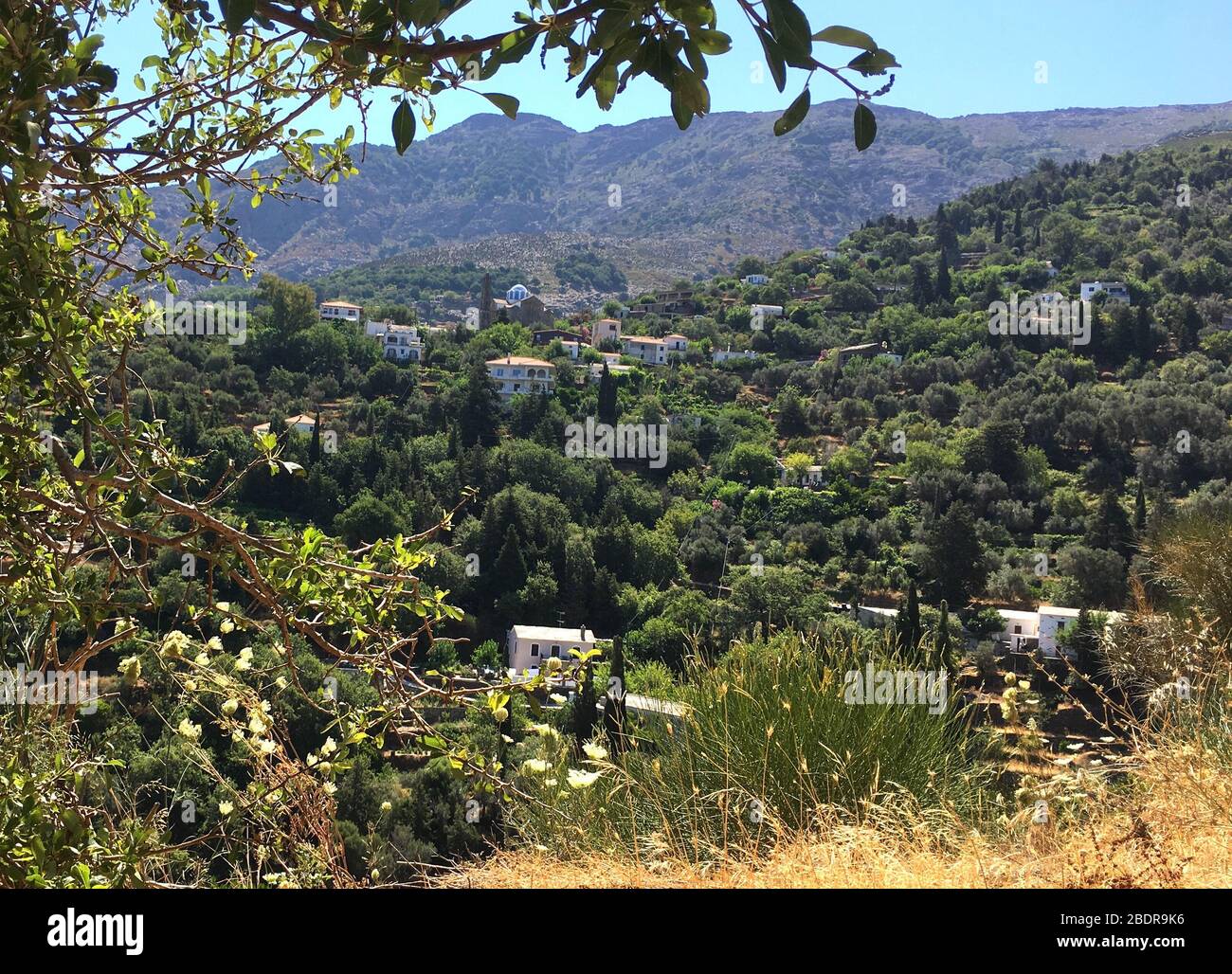 Arethusa hi-res stock photography and images - Alamy