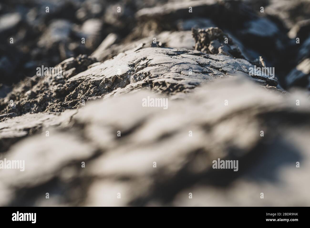 Big chunks of soil hi-res stock photography and images - Alamy