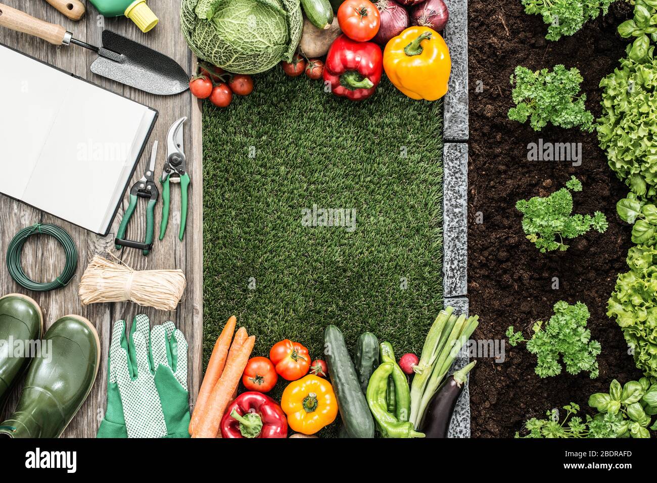 Farming and gardening tools, vegetables and plants growing on the ...