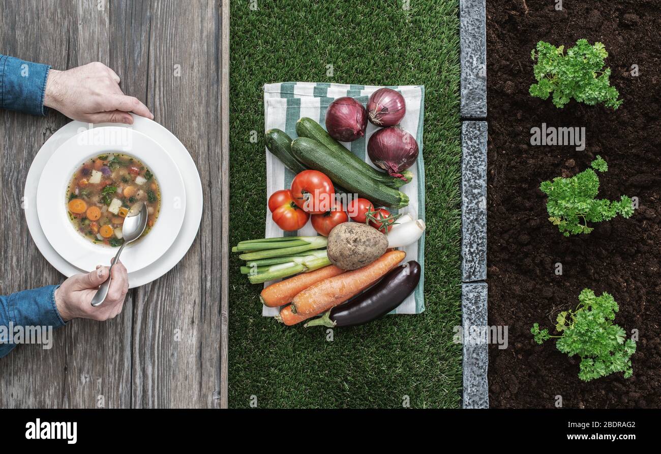 Food from farm to table: plants growing in the garden, harvested ...