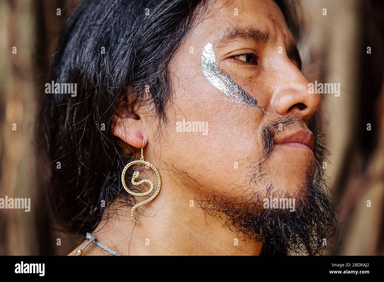 Outdoor Portrait of Native American Indian in natural environment Stock ...