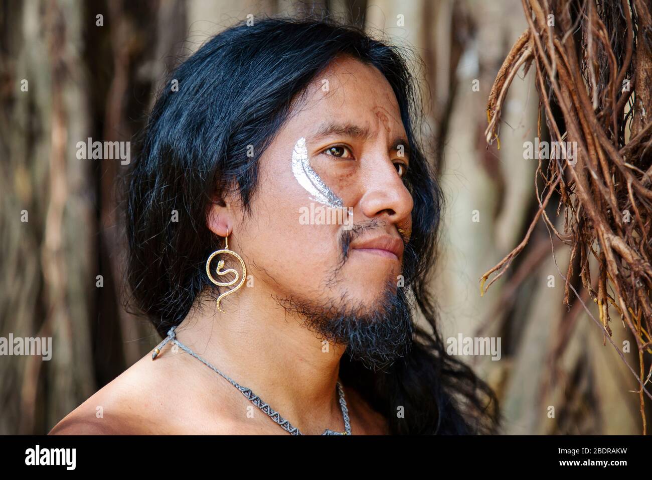Outdoor Portrait of Native American Indian in natural environment Stock ...