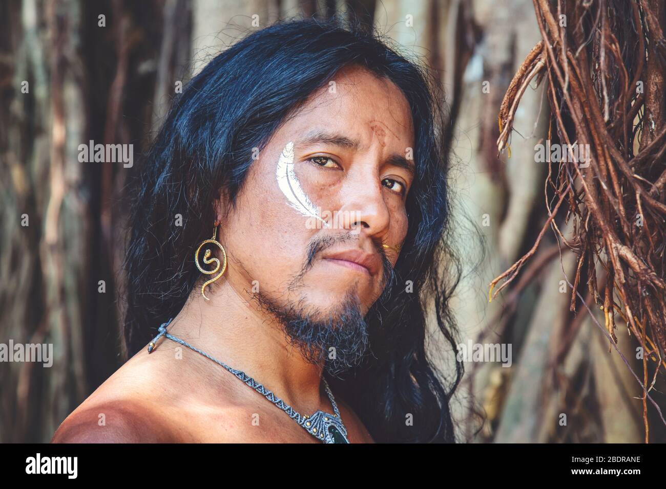 Outdoor Portrait of Native American Indian in natural environment Stock ...