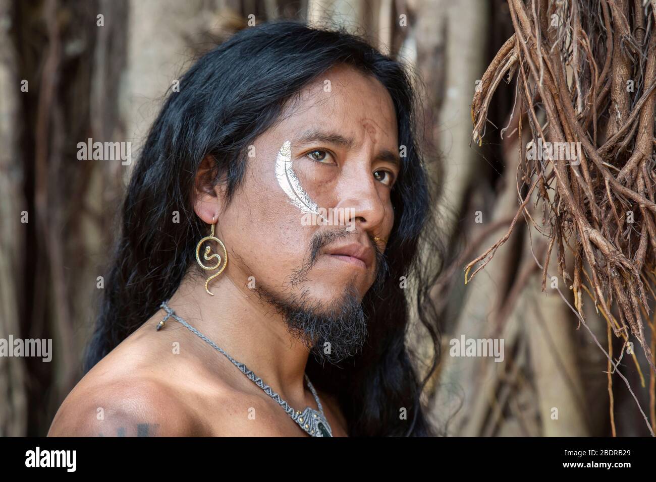 Outdoor Portrait of Native American Indian in natural environment Stock ...