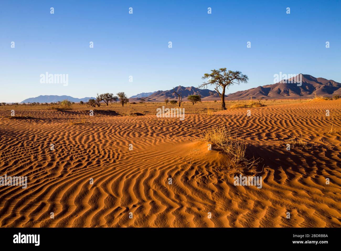 Wind swept patterns in the sand Stock Photo - Alamy