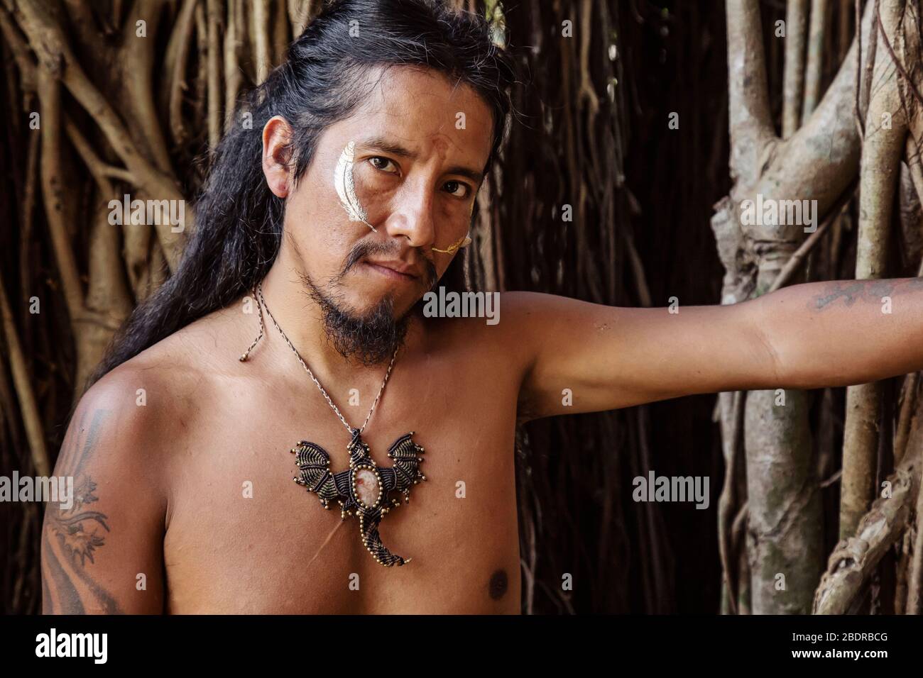 Outdoor Portrait of Native American Indian in natural environment Stock ...