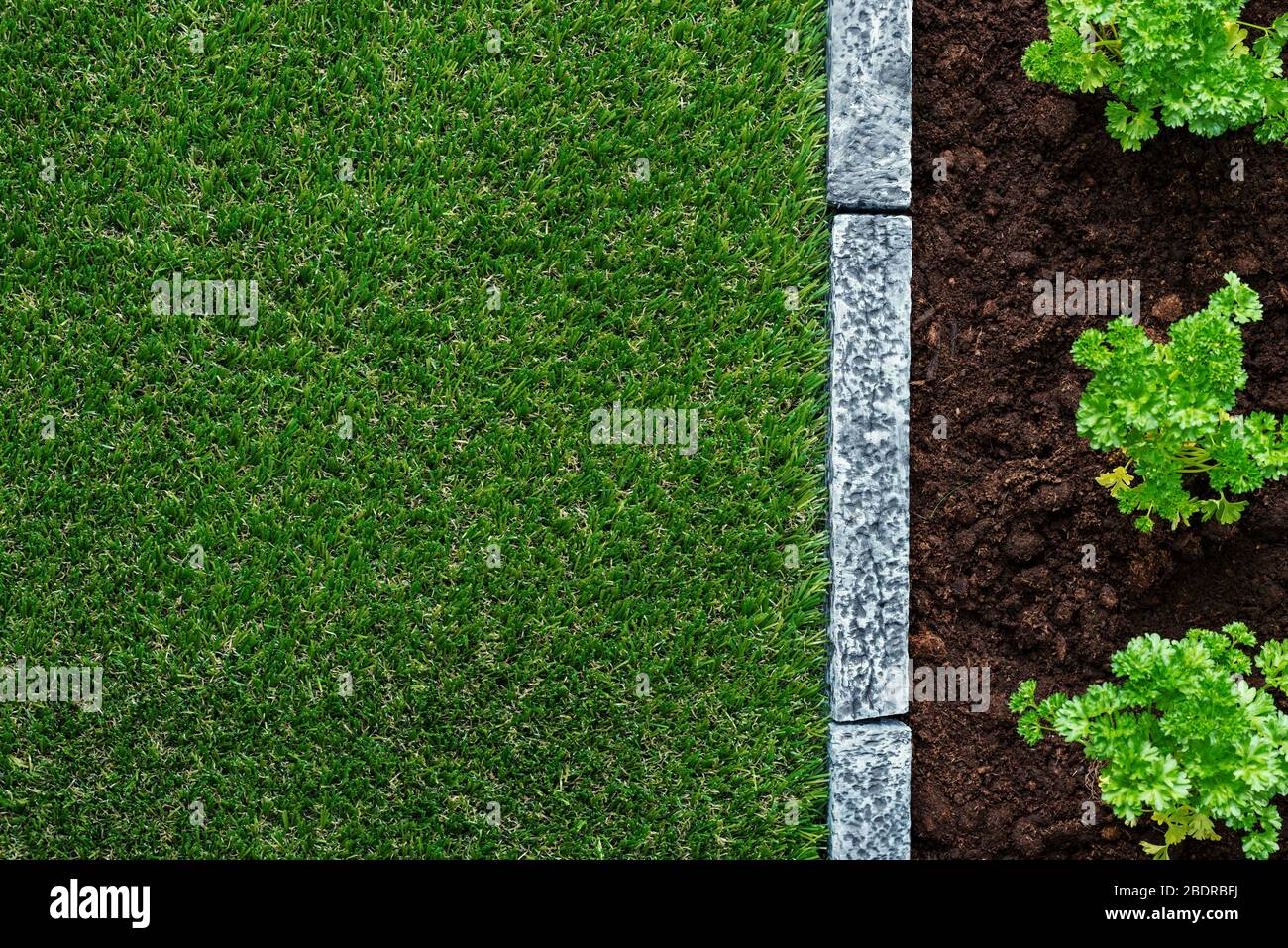 Plants growing on the garden humus soil and green lush grass, gardening ...