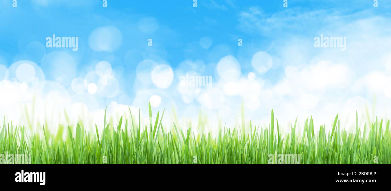 Abstract summer grass field and sunny sky with clouds texture wide ...