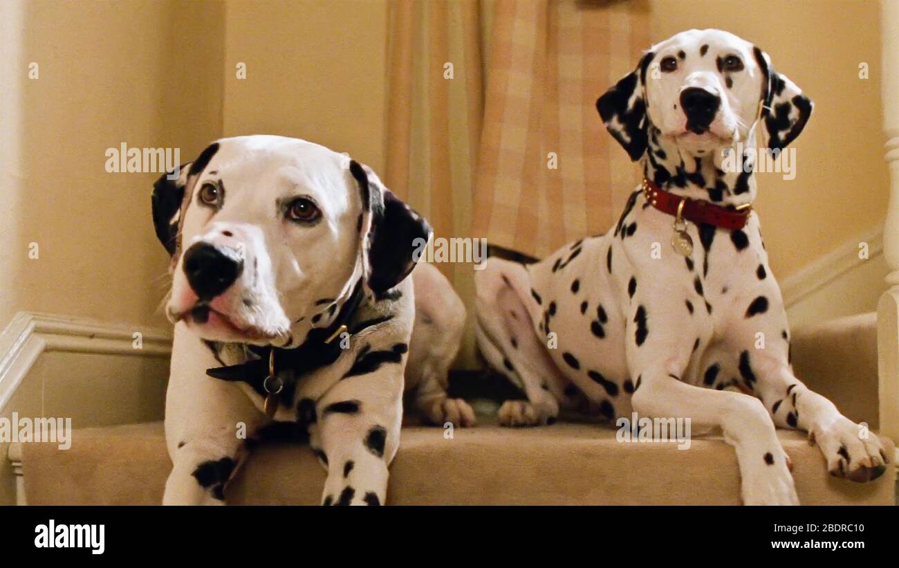 101 Dalmatians 1996 Puppies