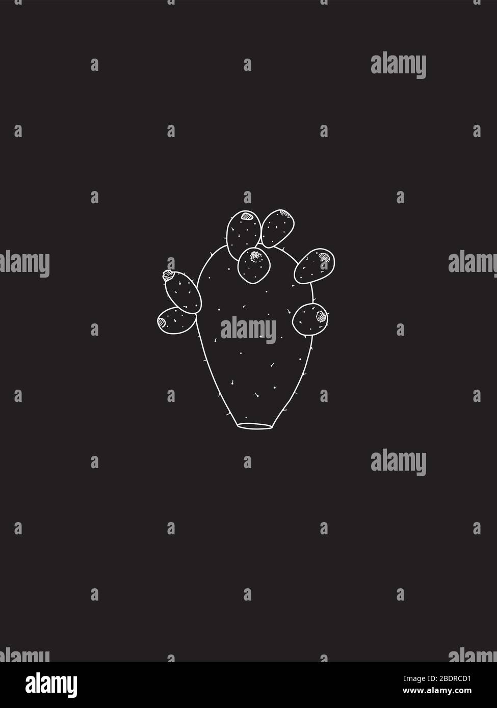 Opuntia cactus fruit on Stock Vector Images - Alamy