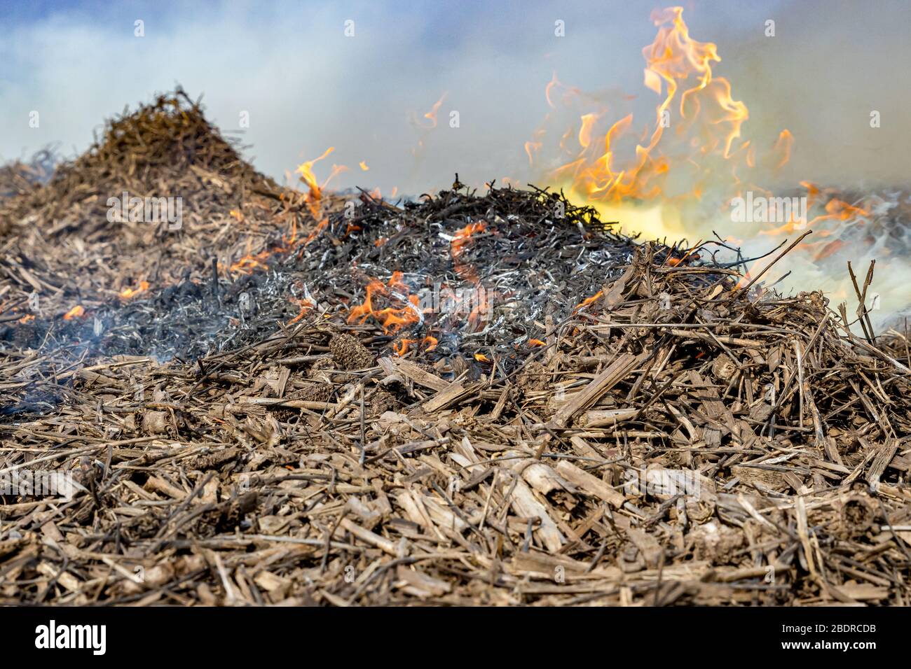 Soybean stubble, cornstalks, corn cobs burning in farm field. Concept ...