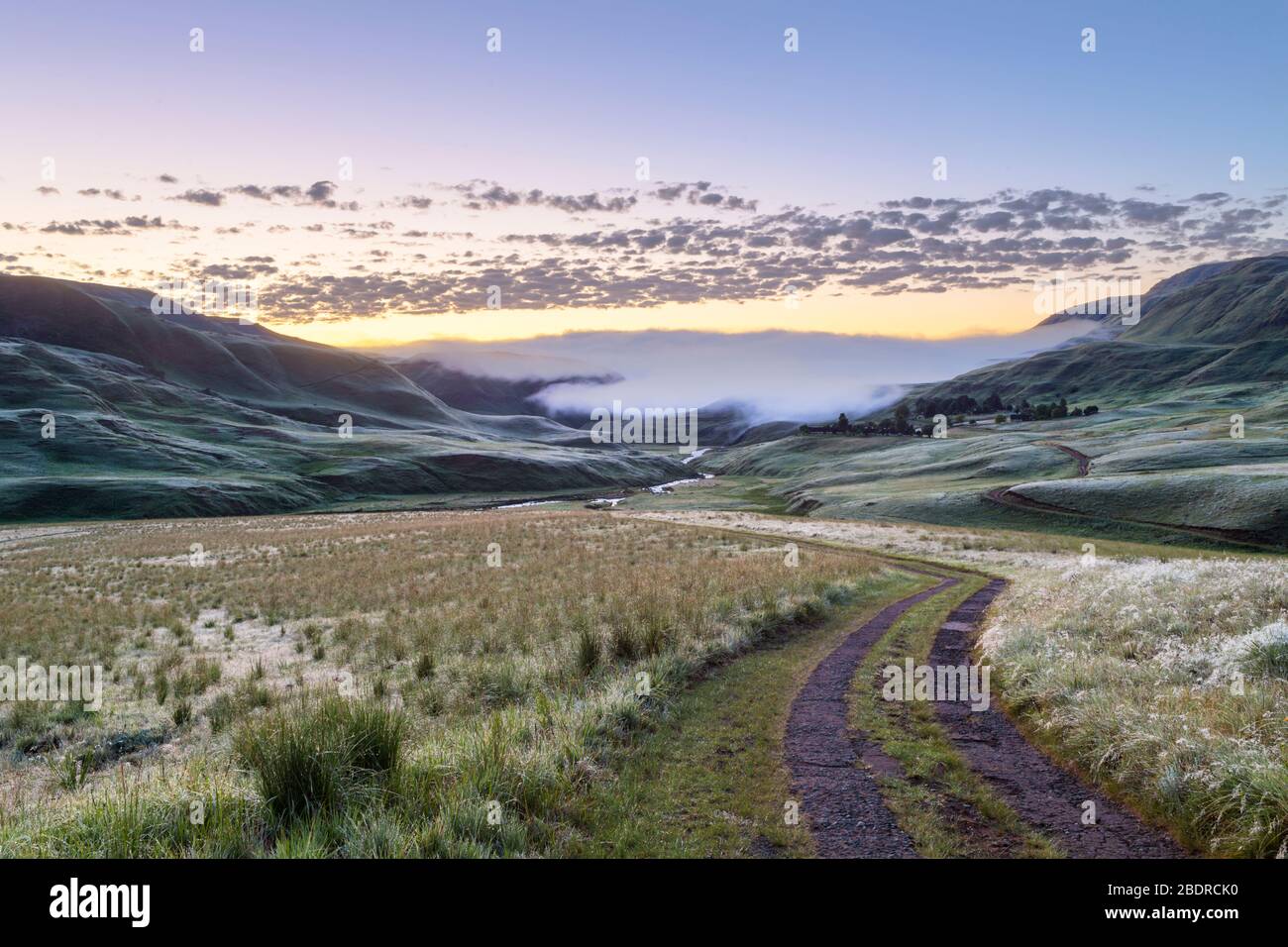 Crept hi-res stock photography and images - Alamy