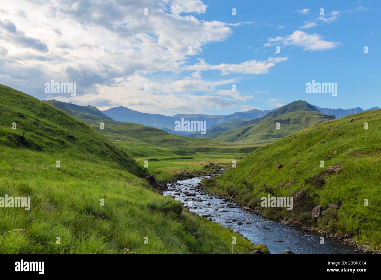Green grass in the valley above the river Stock Photo - Alamy