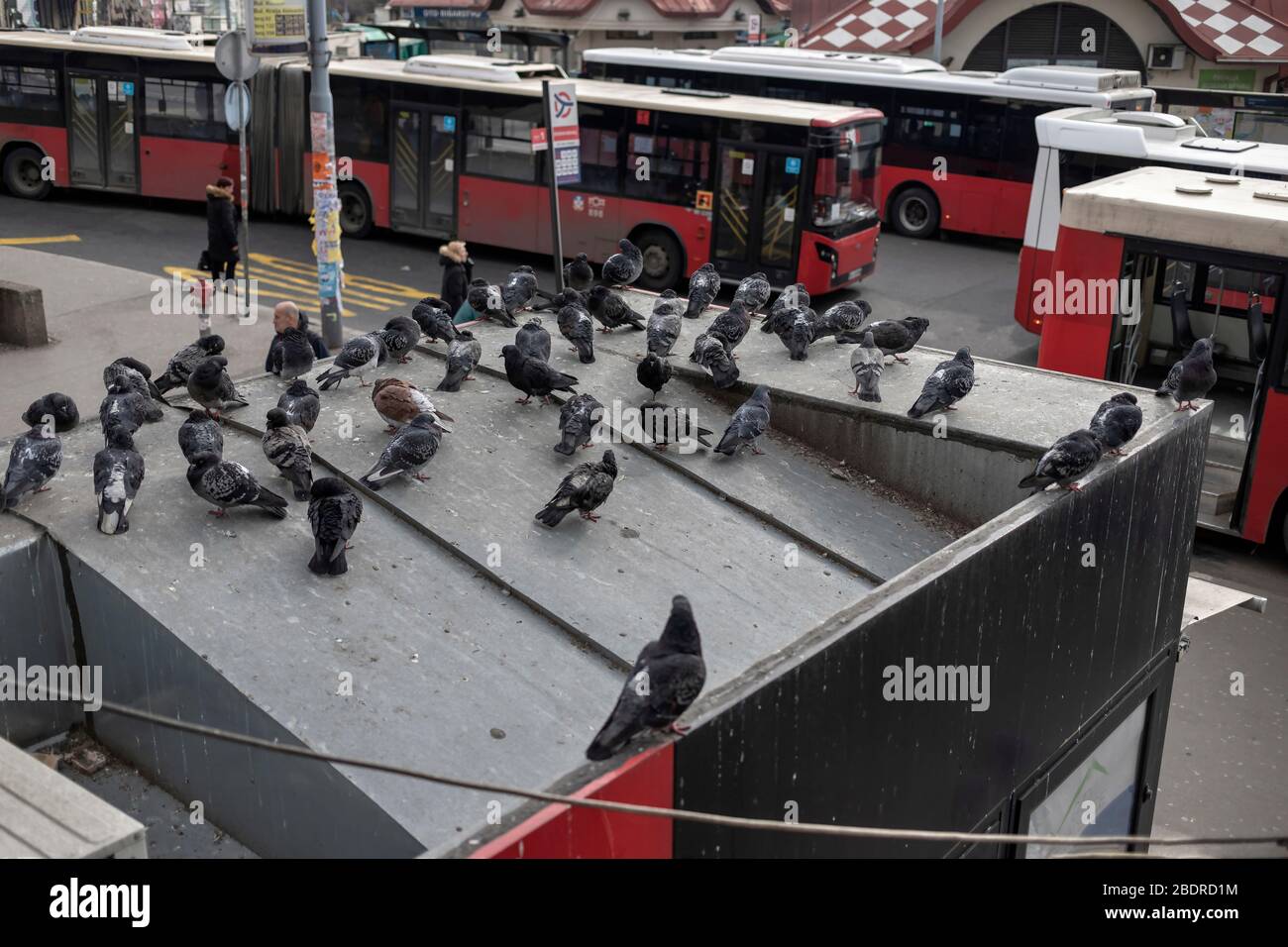 Buses city street architecture hi-res stock photography and images - Alamy