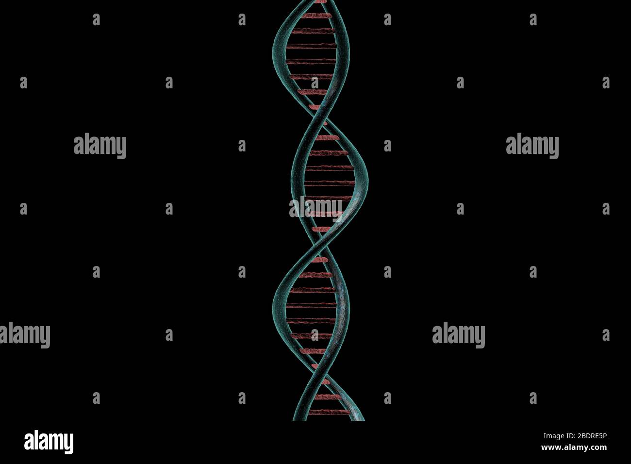 Nucleotides dna cell hi-res stock photography and images - Alamy