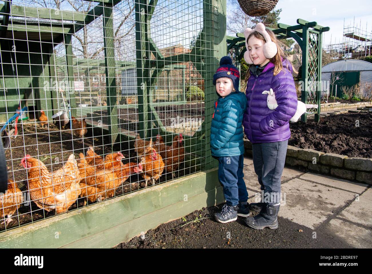 Pictured Amy 3 and Cameron lamb 8 Celebrations as LOVE Gorgie Farm ...