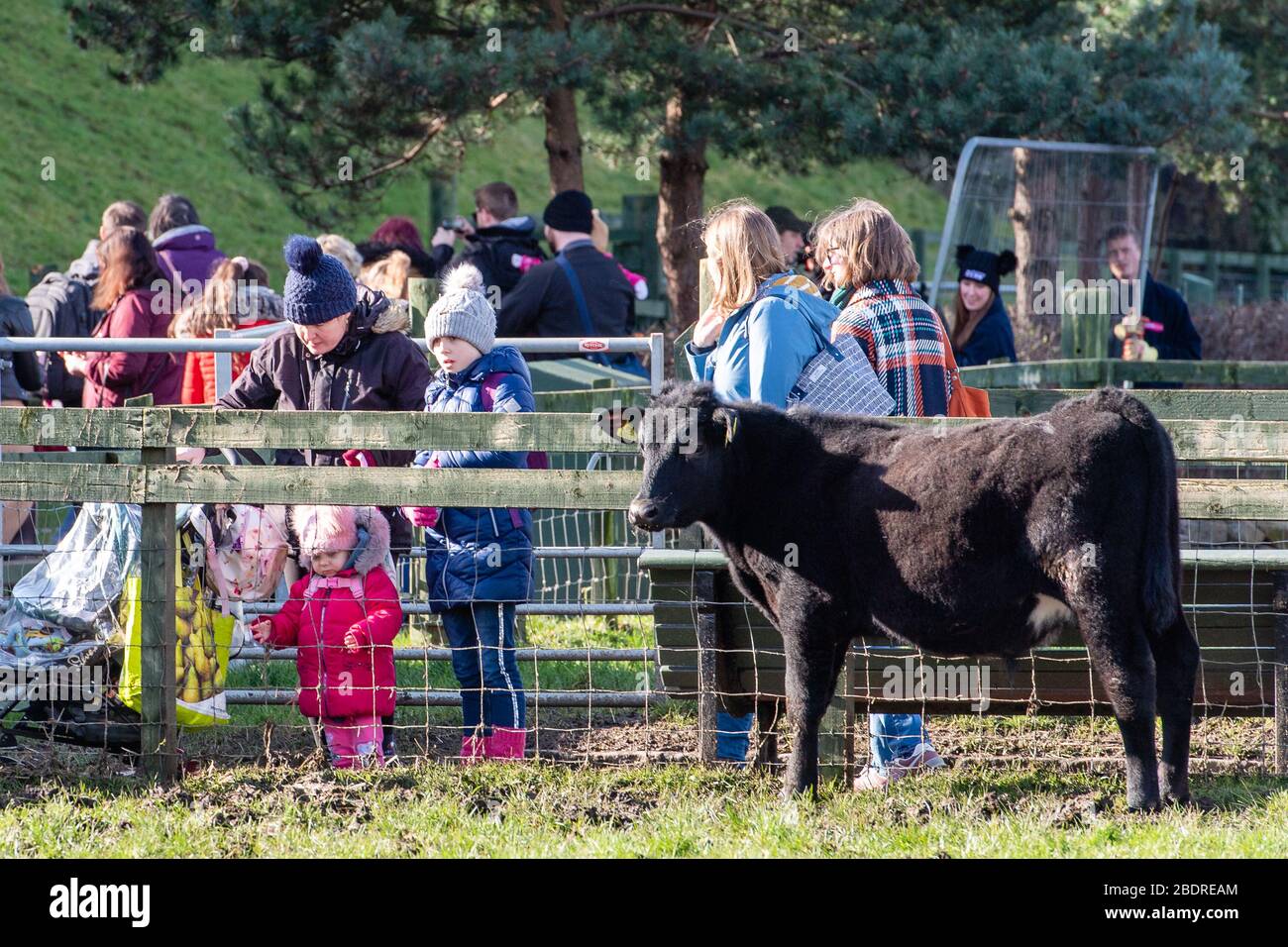 Celebrations as LOVE Gorgie Farm opens its doors LOVE Gorgie Farm ...