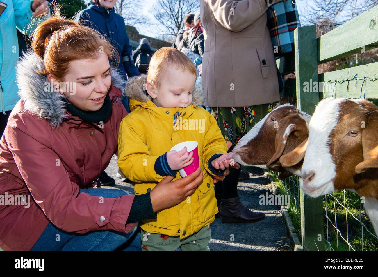 Pictured Rory Adams (2) with Mum Kelly Celebrations as LOVE Gorgie Farm ...