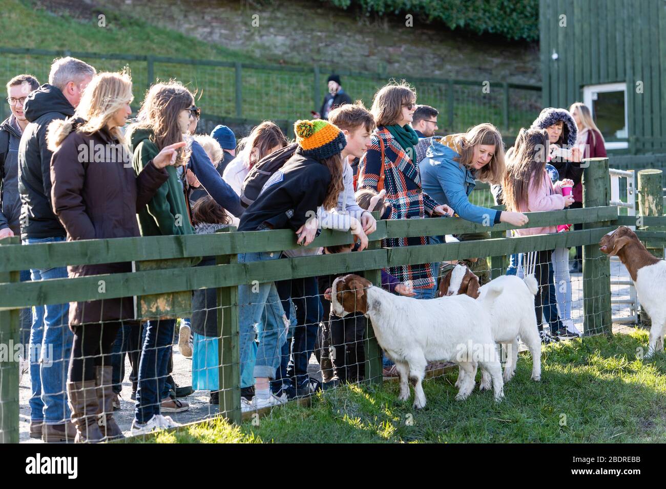 Celebrations as LOVE Gorgie Farm opens its doors LOVE Gorgie Farm ...