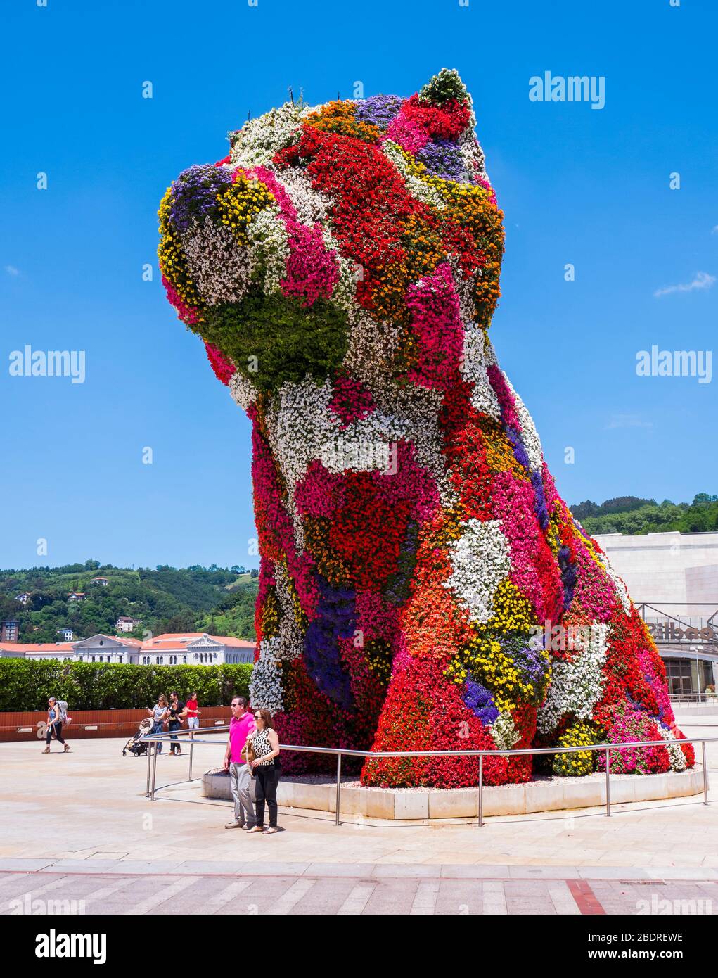 Mascota del perro hi-res stock photography and images - Alamy