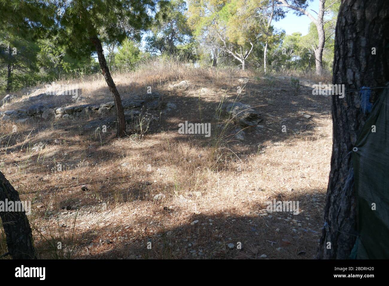 Salamis greece ajax hi-res stock photography and images - Alamy