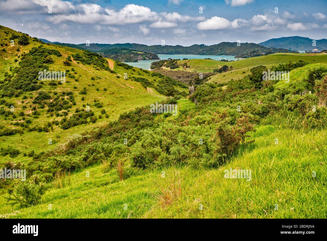 Whangaruru north road hi-res stock photography and images - Alamy
