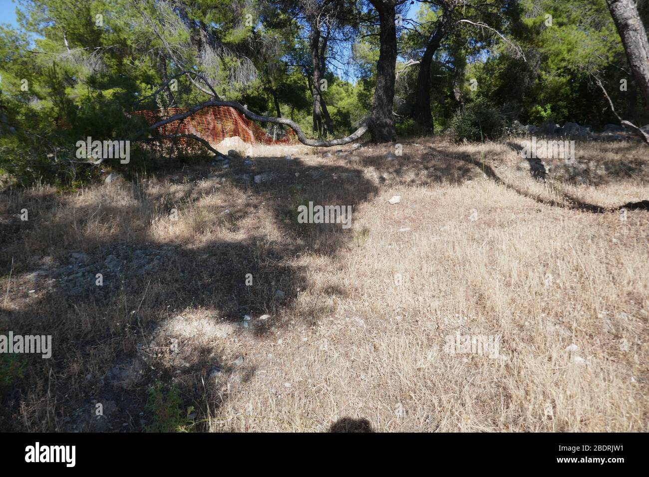 Salamis greece ajax hi-res stock photography and images - Alamy