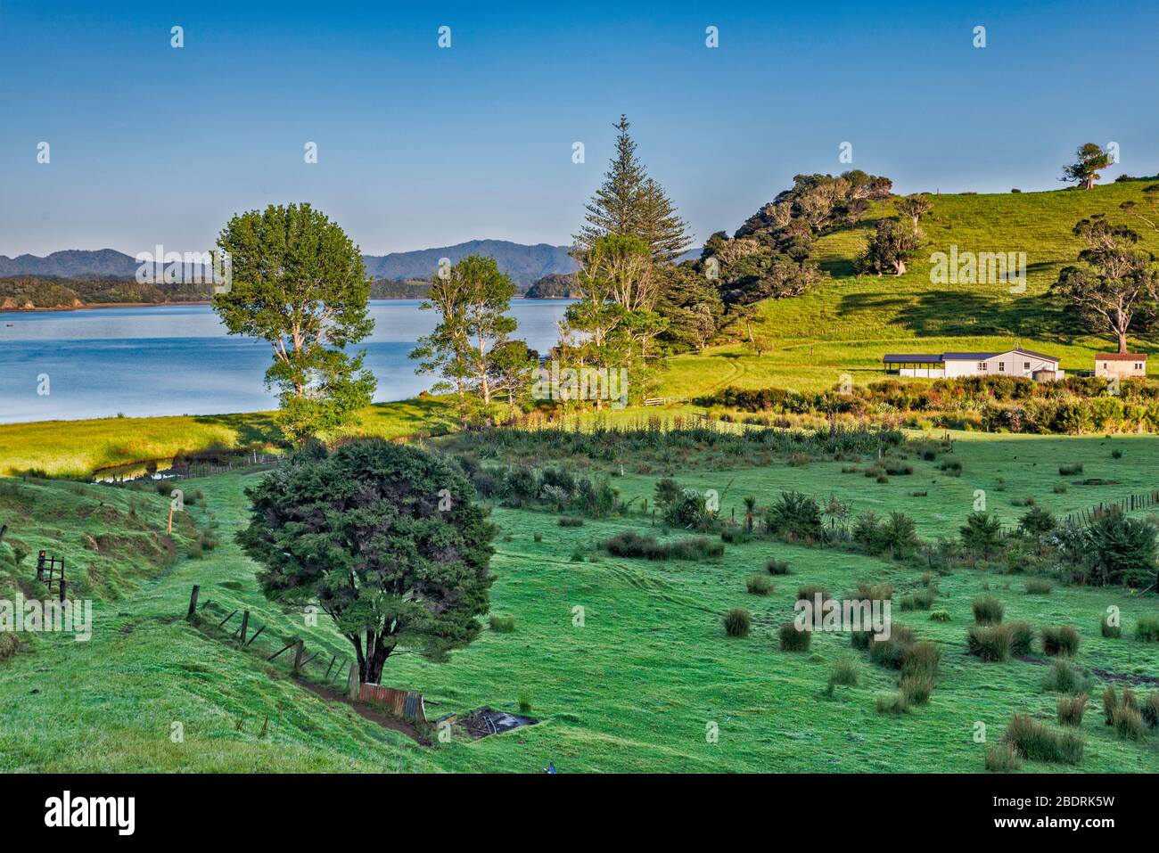 Camp Kiwi at Admirals Bay, Whangaruru Harbour, Whangaruru North Head ...