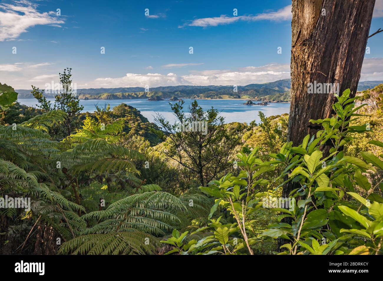 Whangaruru Harbour, view from Whangaruru North Head Track, hiking trail ...
