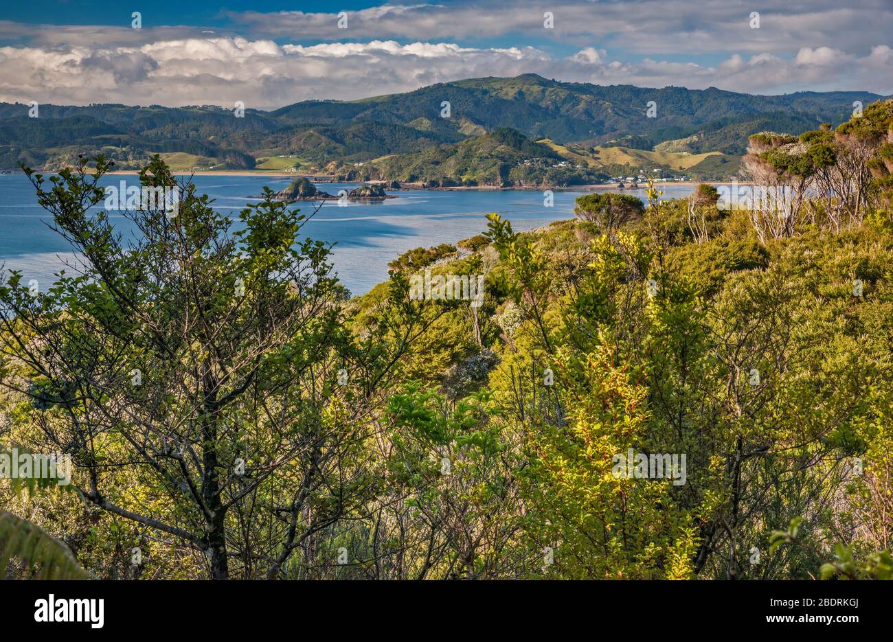 Whangaruru Harbour, view from Whangaruru North Head Track, hiking trail ...