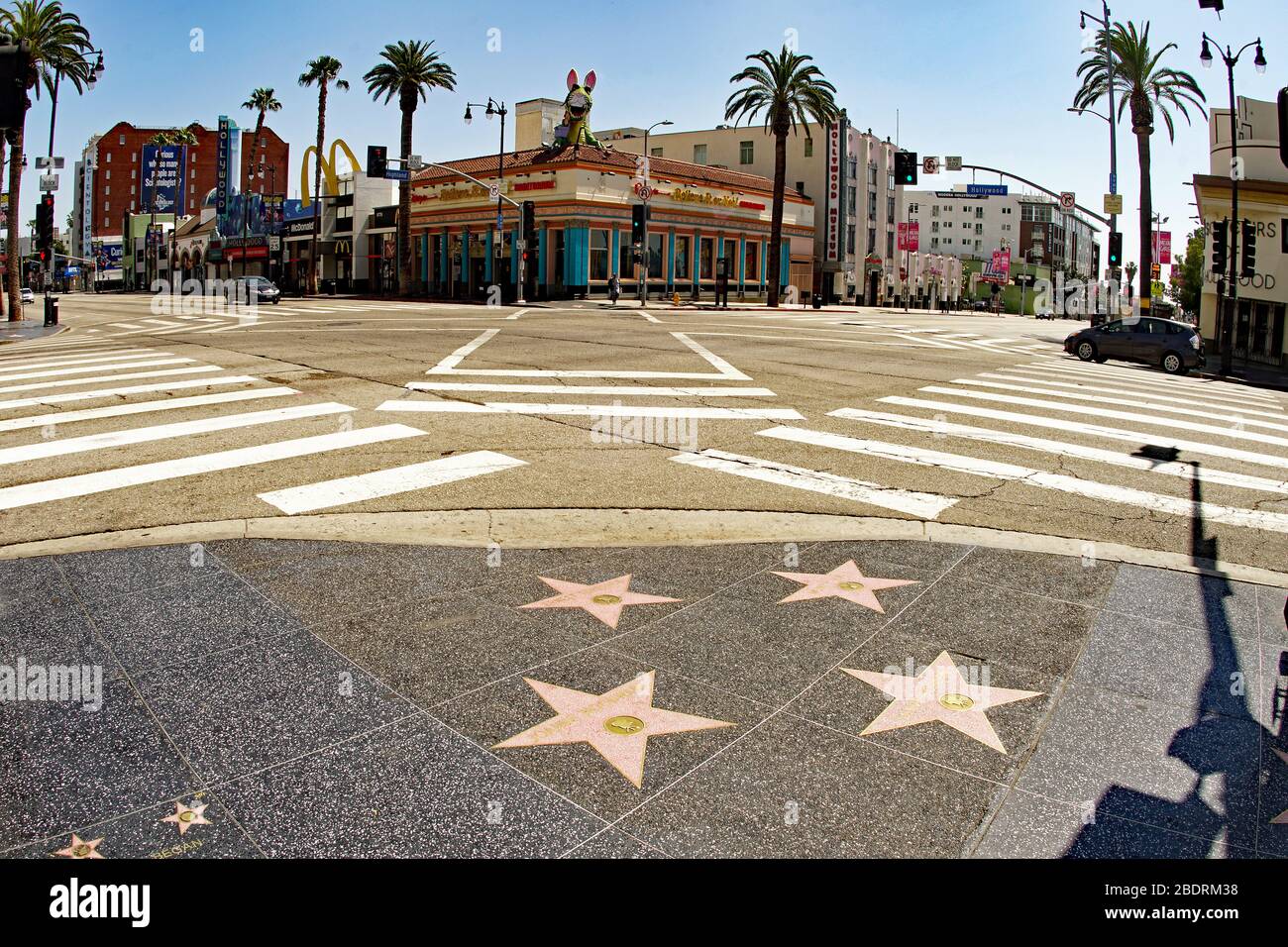 Hollywood blvd vine hi-res stock photography and images - Alamy